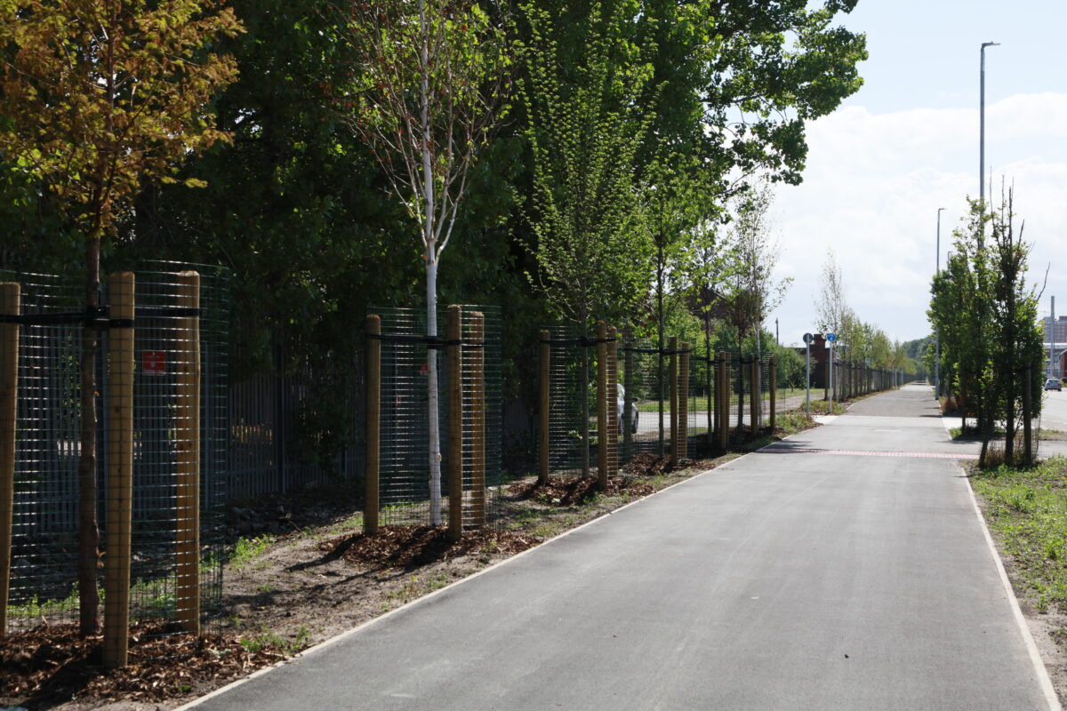 Landscaped Greenway corridor unveiled at Wirral Waters - Wirral Waters